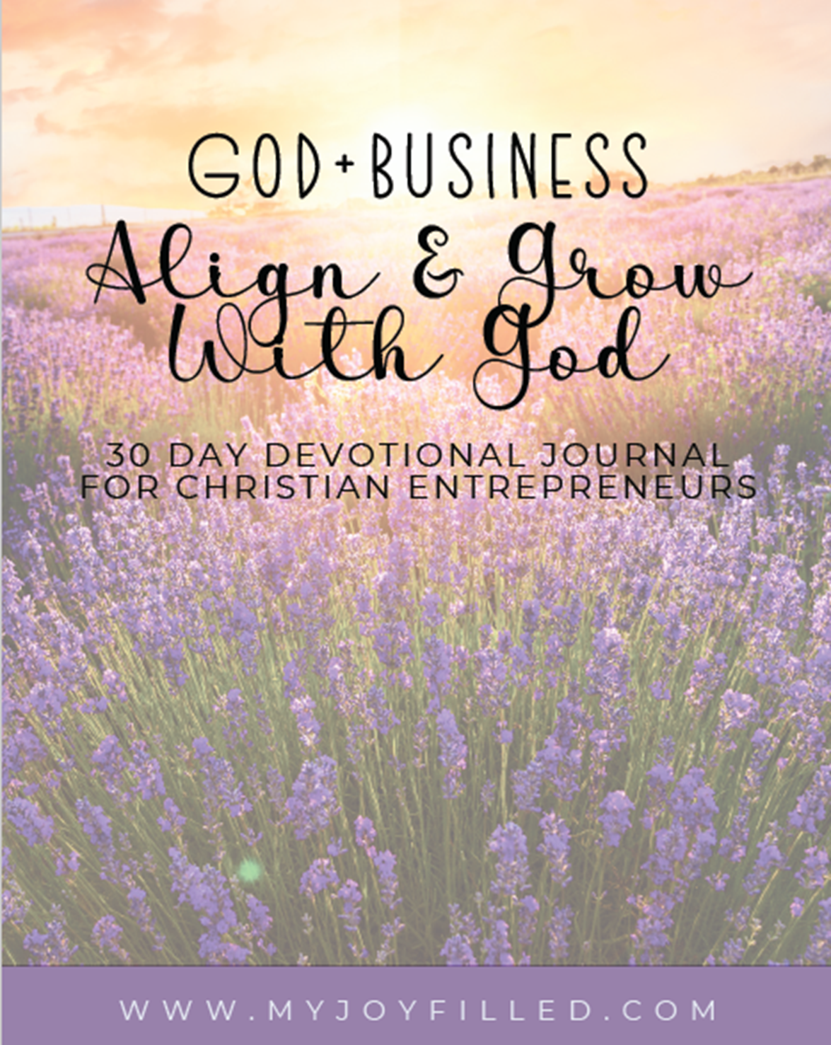 Alignment ~ God & Business, a 30 Day Devotional Journal for Entreprene ...